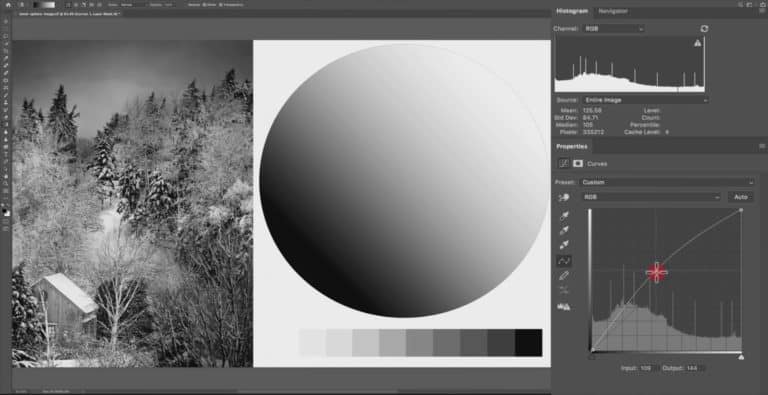 Photoshop Curves: The Ultimate Guide for Photographers