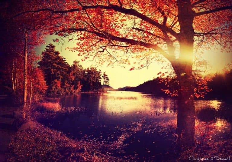 My Best Tips for Creative Autumn Photography - CreativeRAW