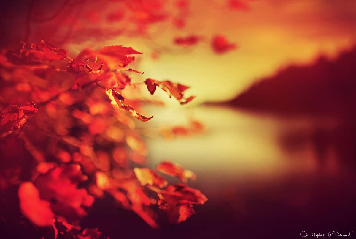 My Best Tips for Creative Autumn Photography - CreativeRAW