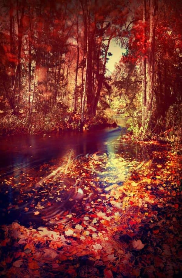 My Best Tips for Creative Autumn Photography - CreativeRAW