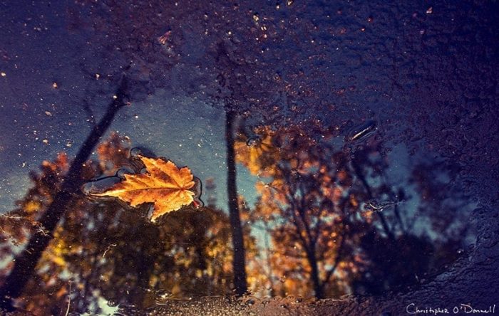 My Best Tips for Creative Autumn Photography - CreativeRAW