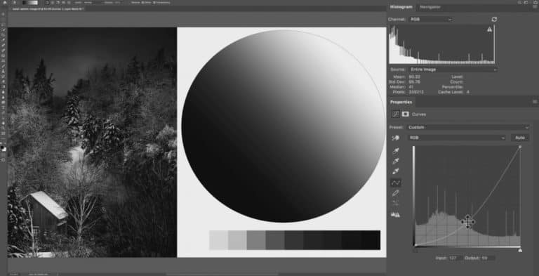 Photoshop Curves: The Ultimate Guide for Photographers