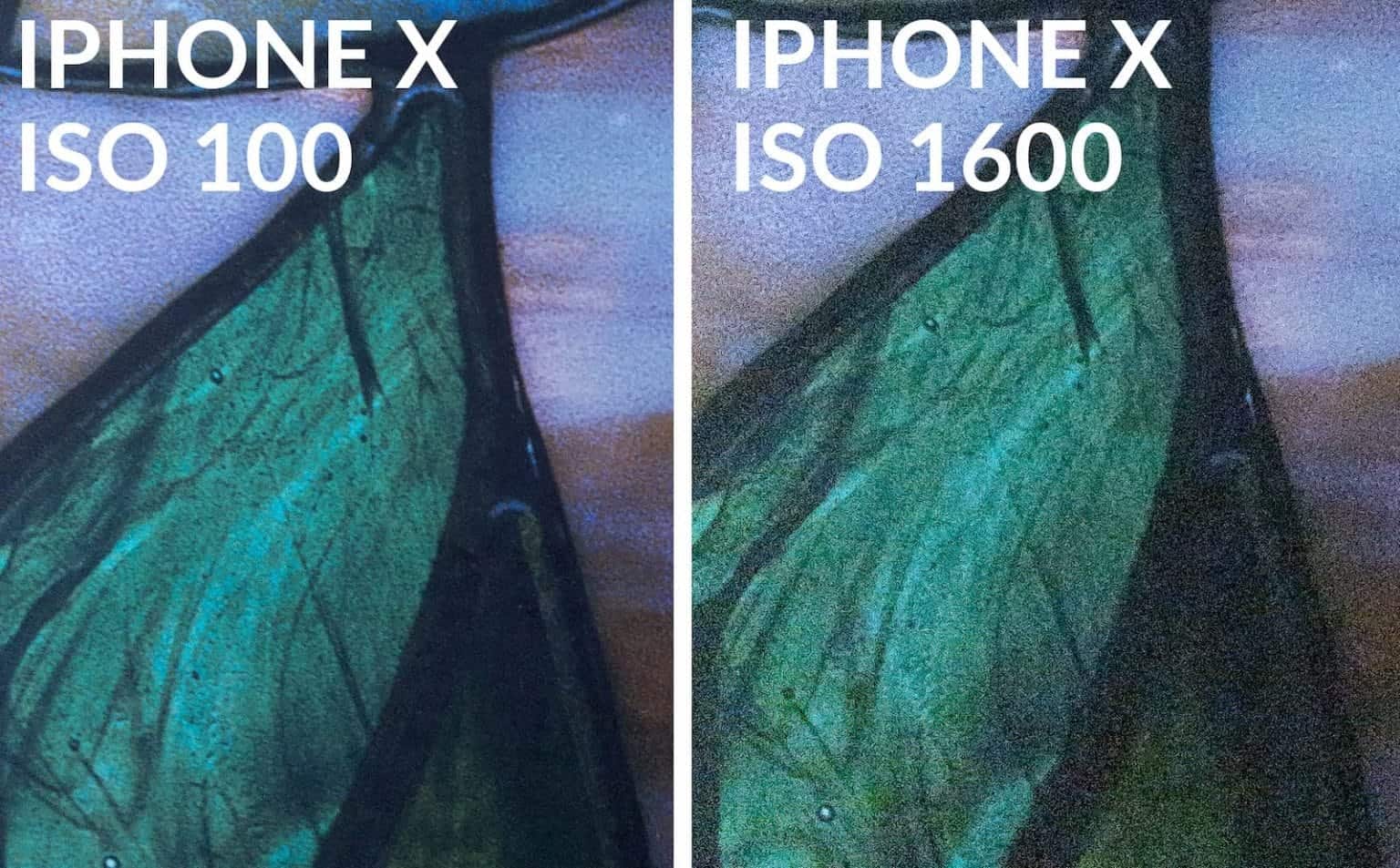 What is ISO? A Simple Guide for Beginners to Manual Mode