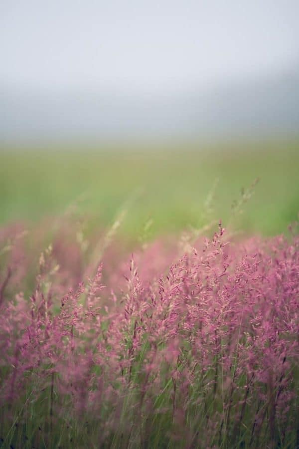 Eight Ways to be Creative with a Shallow Depth of Field - CreativeRAW