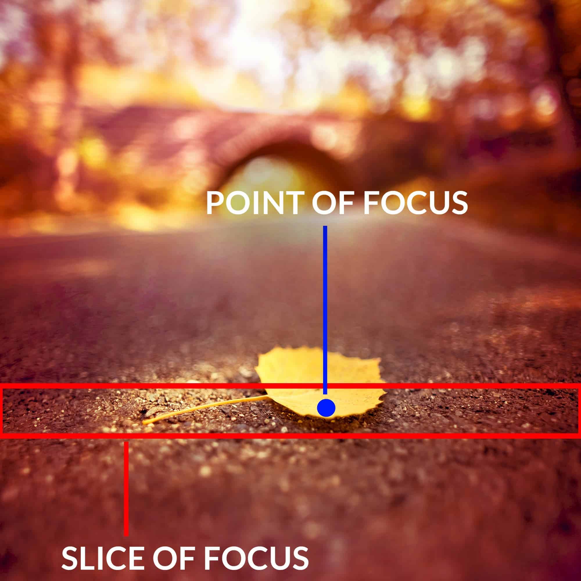 The Complete Guide to Camera Aperture