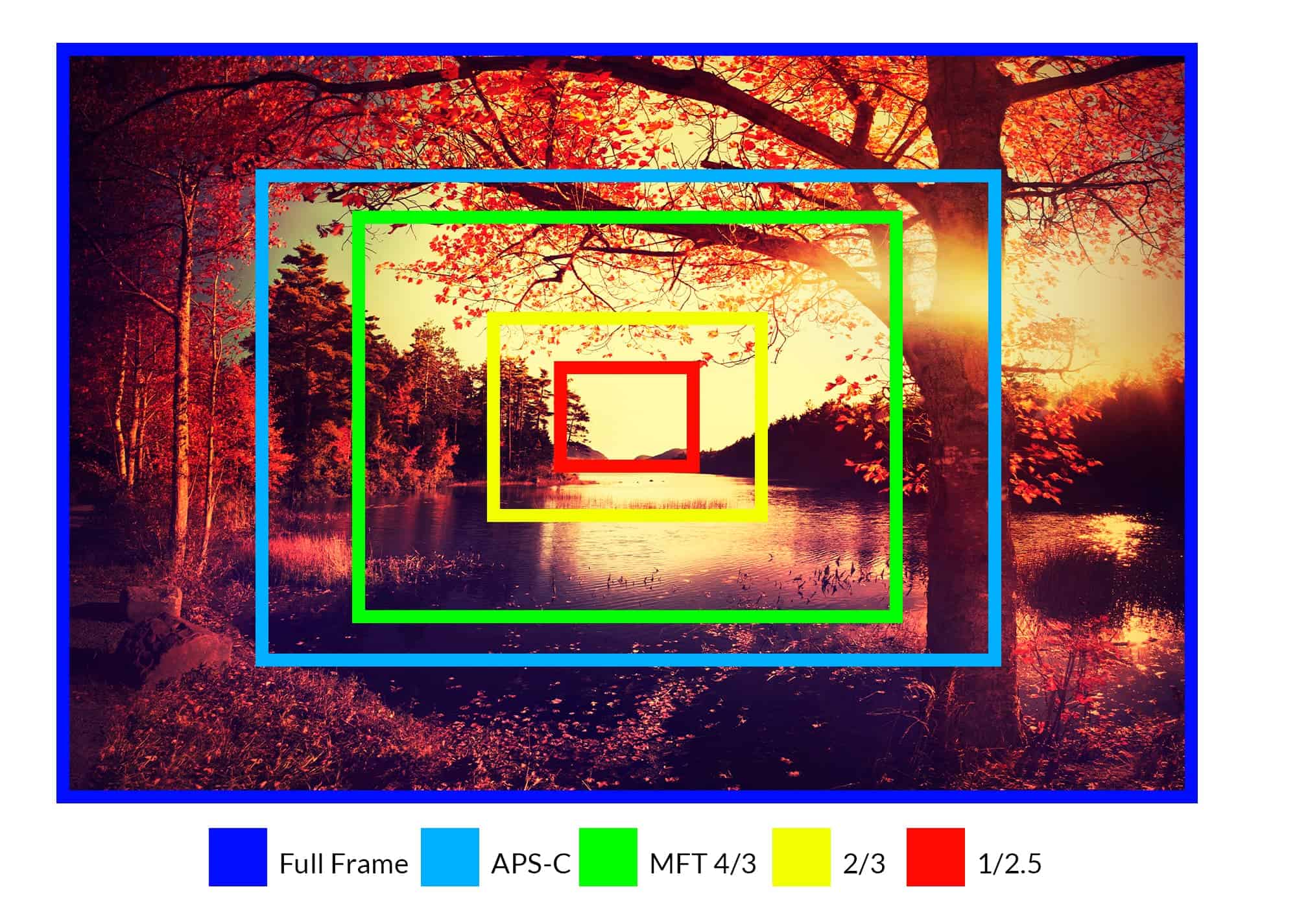 Camera Sensor Size Explained + Sensor Chart (2021)