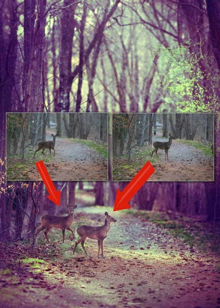 My Guide to Using Lightroom and Photoshop Together - CreativeRAW