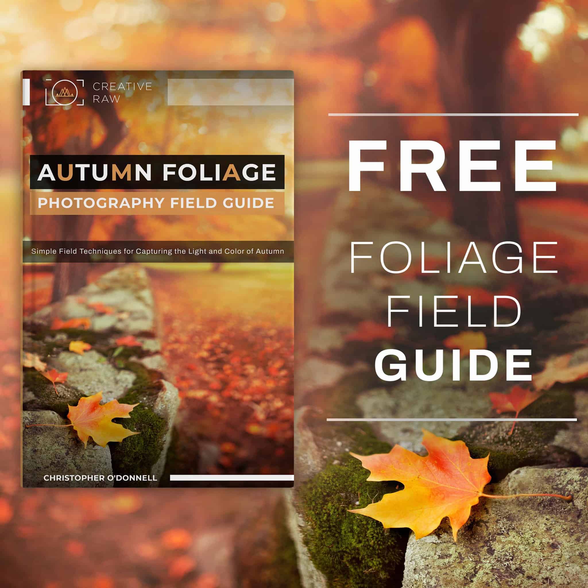 Free Download: Autumn Field Guide for Landscape Photography